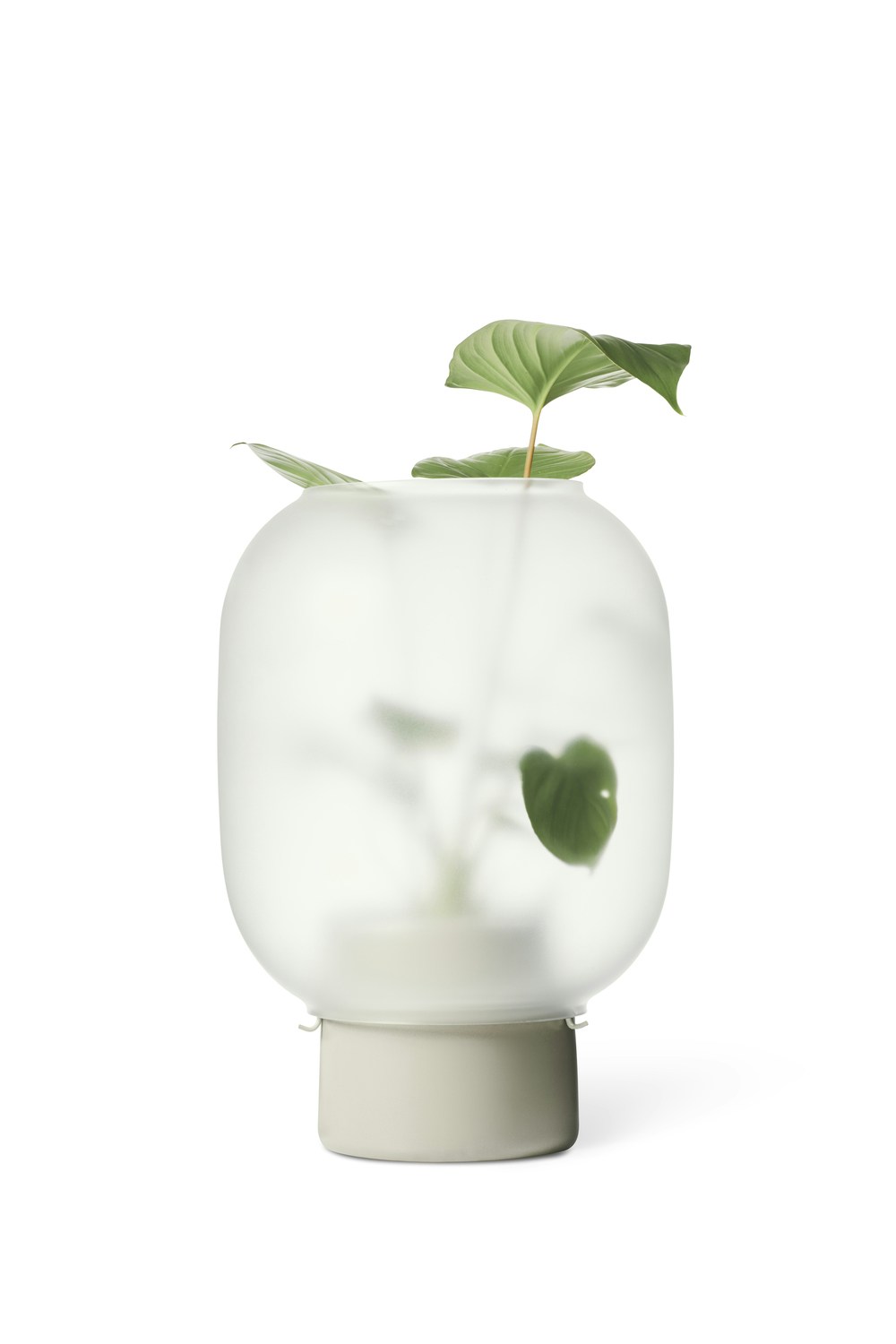 Gejst Nebl Vase Big kaufen | SCHÖNER WOHNEN-Shop